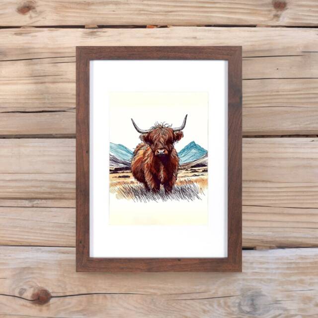 Highland Cow Framed Print, Wall Art, Room Decor, Scribble Print- Big ...