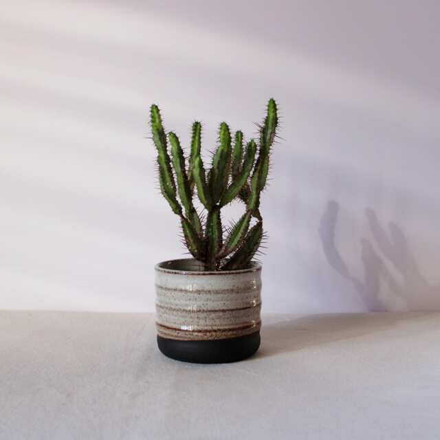 Ceramic Cactus Pot, Succulent Small Planter, Modern Plant Stoneware ...