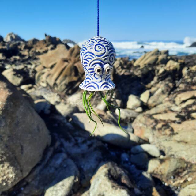 A Mini Wave Octopus, Air Plant Hanger by Etsy | ufurnish.com