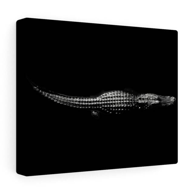 Black & White Crocodile Gallery Wraps by Etsy | ufurnish.com