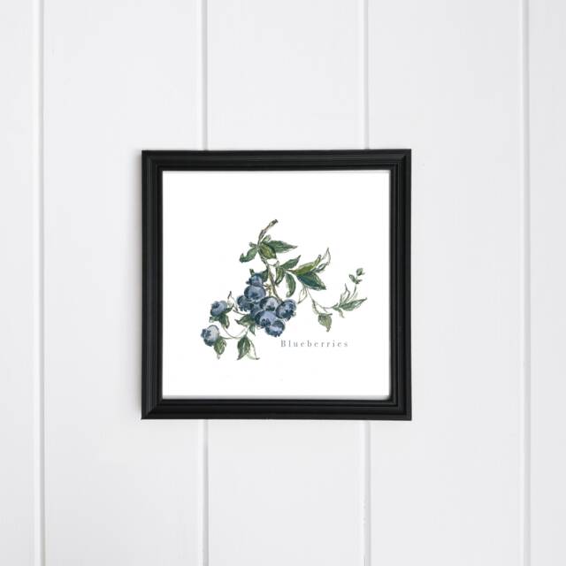 Blueberry Watercolor Painting, Square Blueberries Home Decor Wall Art ...