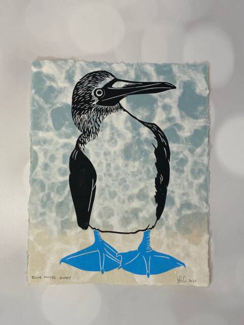 Blue Footed Booby - Handmade Original Linocut Print by Etsy | ufurnish.com
