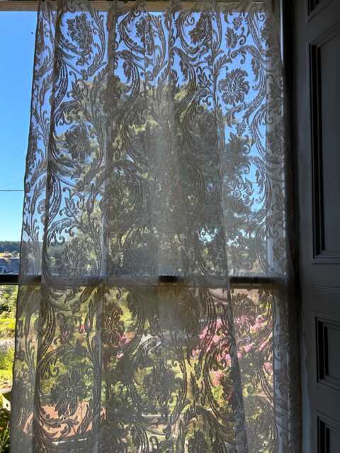 "Acanthus Scottish Madras Highend Period Design Heirloom Ecru Lace ...