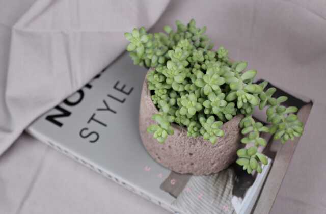 Nordic Concrete Plant Pot - Lava Stone Planter Scandi Rock Succulent ...