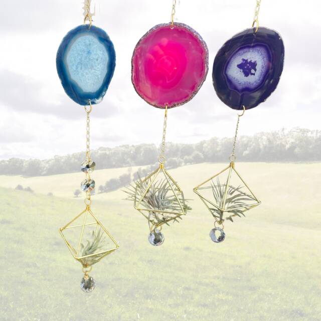 Air Plant Holder - Wall Hanger Suncatcher, Indoor, Window Hanger, Raw ...