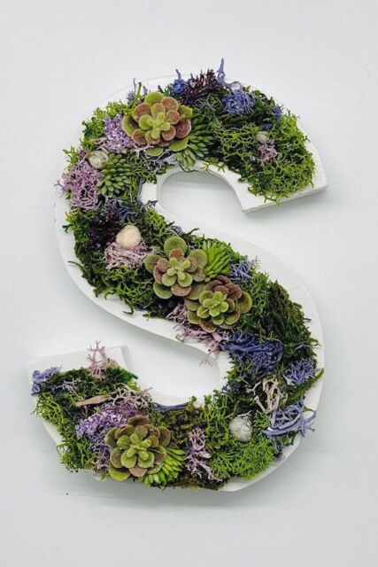 Moss Art Letter - Wood Monogram With Succulent & Preserved Wall Decor ...