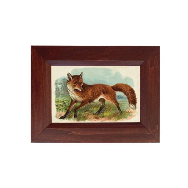 Fox in The Grass Framed Print, Small Vintage Style Rustic Cabin Decor ...