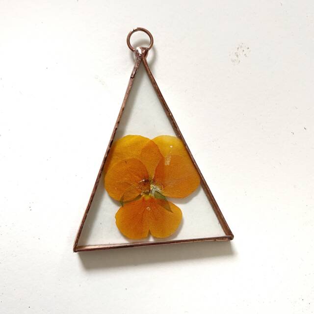 Glass Pressed Flower Frame - Triangle Viola Real Flowers Wall Hanging ...