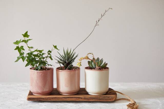 Set Of 3 Ceramic Planters, Boho Earth Tones Colors, Modern Plant ...