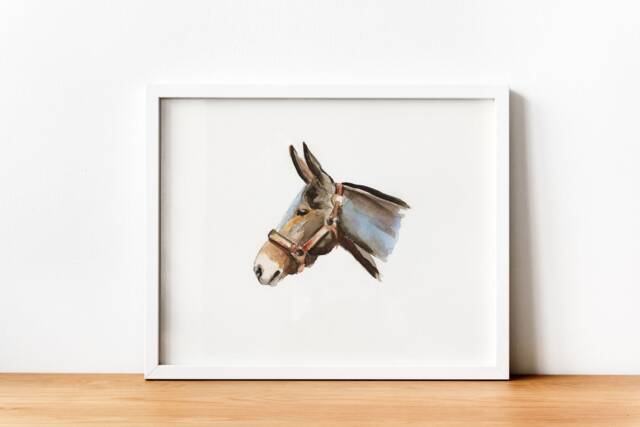 Mule Watercolor Portrait Print By Candice Of Piq Design by Etsy ...