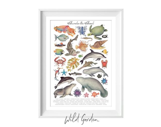 Australian Sea Animals Collection - Art Print, Poster by Etsy ...
