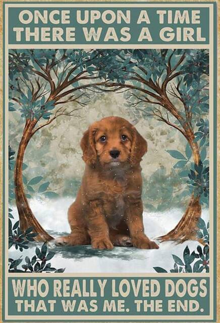Caramel Cavapoo Once Upon A Time Girl Really Loved Dogs Home Decor Wall ...