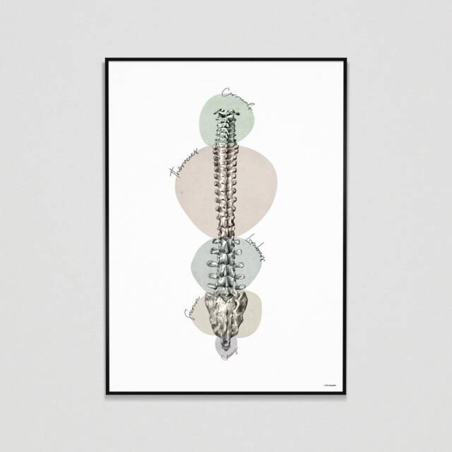 Vintage Spine Poster - Posterior View by Etsy | ufurnish.com