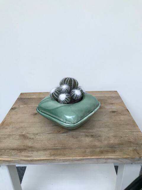 Medium Light Green Ceramic Planter For Cactus/Succulent/ Small Plant ...