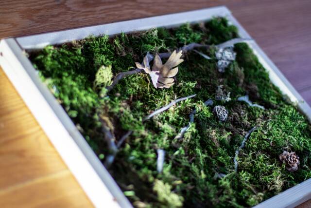 Three-Dimensional Framework With Real Natural Elements by Etsy ...