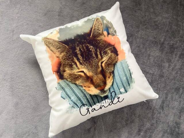 Personalised Cat Photo Cushion, Custom Keepsake Pillow, Lover Gift ...