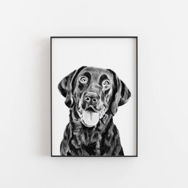 Black Labrador Print, Labrador, Gift, Gift by Etsy | ufurnish.com