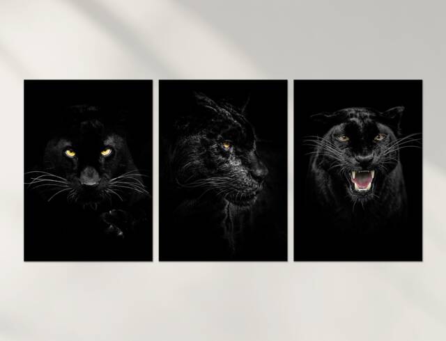 3 X Panther Posters - Animal Wild Black Trio Of Prints Portrait Poster ...