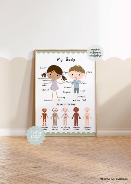 Body Parts Chart, Children's Prints, Colourful Poster, Educational ...