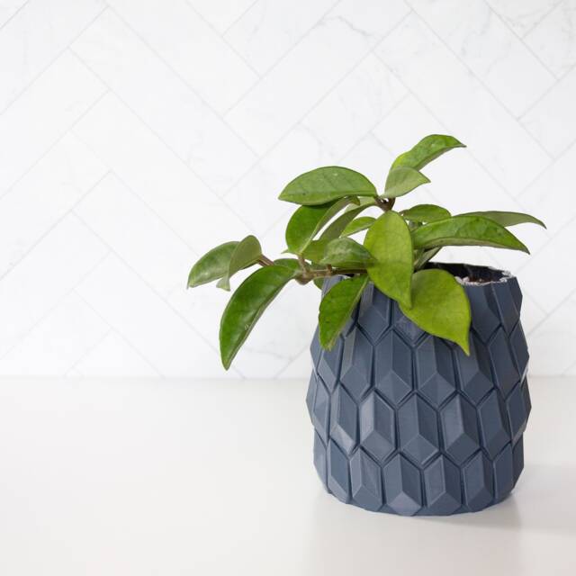 Modern Geometric Cactus Planter, 3D Succulent Planter For Your Decor ...