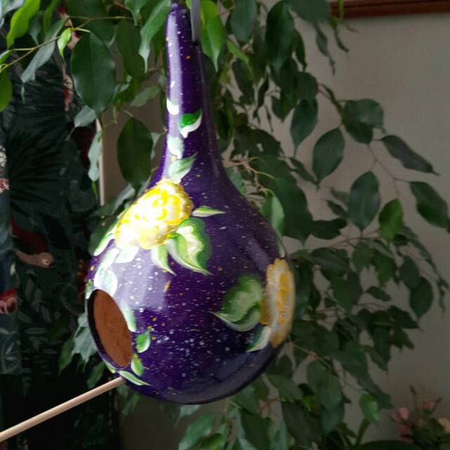 Purple Gourd Bird House, Hanging Leather Strap, Feeders, Yellow Rose ...