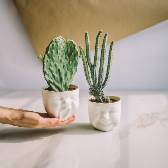 Face Planter Pot - Funny Succulent With Drainage by Etsy | ufurnish.com