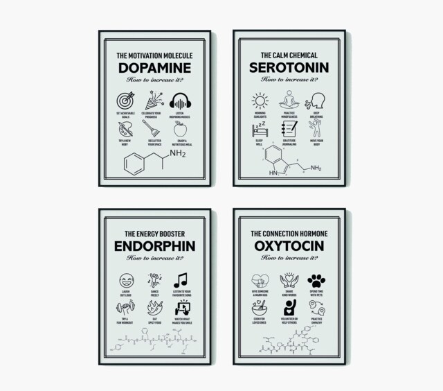 Neurochemical Wall Art Set - Dopamine, Serotonin, Endorphin & Oxytocin ...