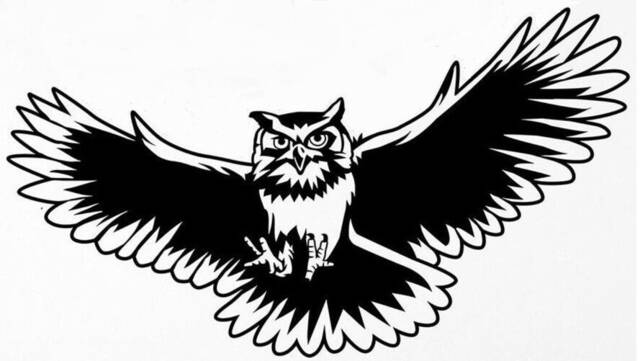 Owl Vinyl Decal Decor Car Van Bonnet Side Sticker Hood Graphic Sign ...