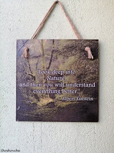 Albert Einstein Inspirational Saying Sign, Nature Lover Quote Wall Art ...
