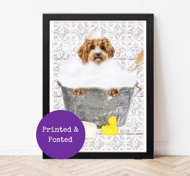 Cavapoo in Bath Print - Dog in Vintage Tin Picture Portrait On Toilet Wall Art Loo Bathroom Sign ...