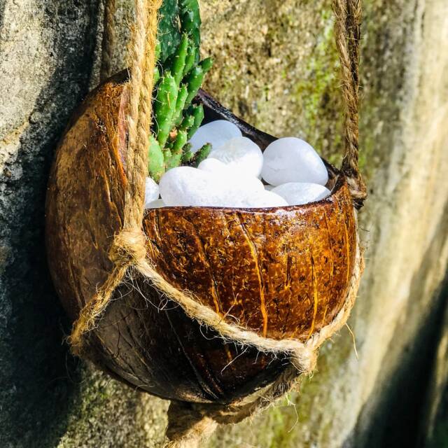 Coconut Shell Pot - Air Plant Holder Hanging Planter Fence Small Pot ...