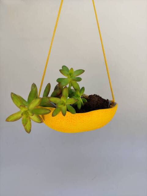 Ceramic Hanging Planter, Hanging Pot, Wall Planter Indoor, Melon ...