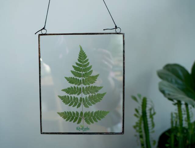 Pressed Fern Art Wall Decor, Rectangle Stained Glass Frame With Dried ...