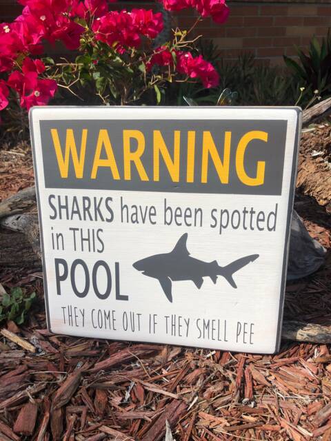Warning Sharks Have Been Spotted in This Pool Lol Great Sign For Pools ...