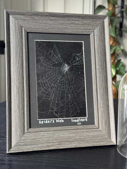 Actual Real Preserved Spiders Web Caught in A Gothic Dark Grey ...