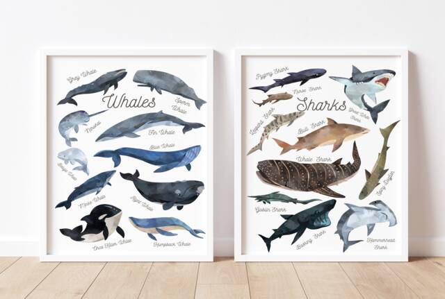 Whale & Shark Print Set Of 2-Labelled Whales Sharks The Worldcetacea ...