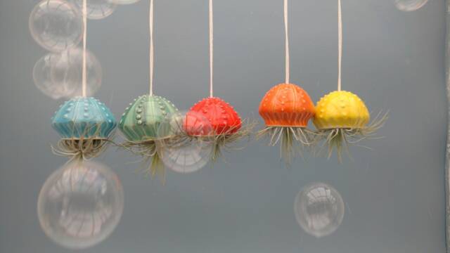 Small Jellyfish, Hanging Air Planter, Bring The Beach Home by Etsy ...