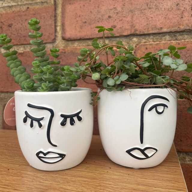 Indoor Planter Abstract Face Mini Plant Pot by Etsy | ufurnish.com