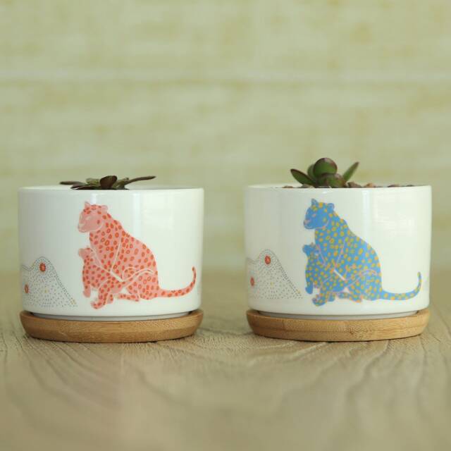 Leopard Mother & Cub 3.15'' Small Succulent Pot, Ceramic Planter by ...