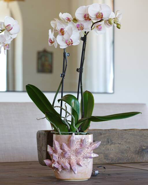 Aura Crystal Orchid Drop Pot - Choose Your Color Unique Handmade ...