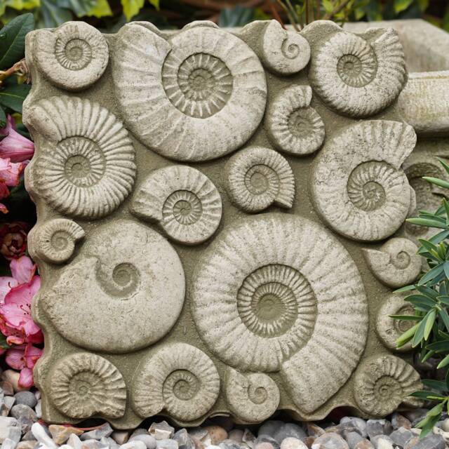 Fossil Wall Stone Statue - Hanging Ammonite Dinosaur Outdoor Garden ...