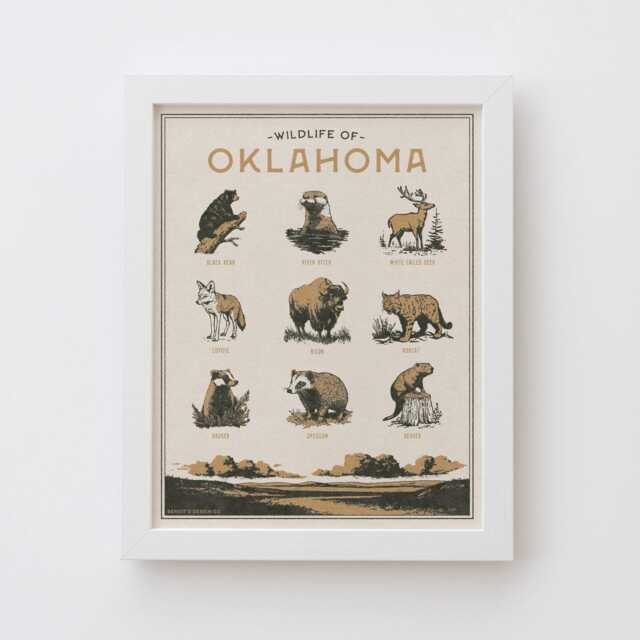 Oklahoma Wildlife Wall Art Print - Vintage Animal Poster Design ...