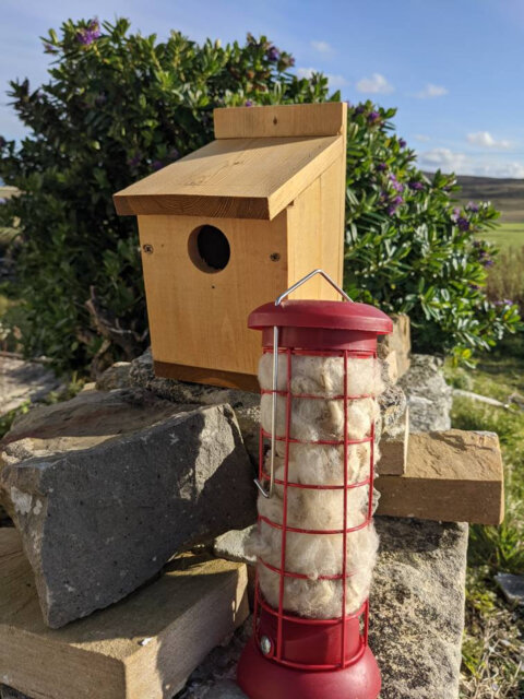 Bird Nest Box & Nesting Materials - Premium Quality Feeder+Fiber ...