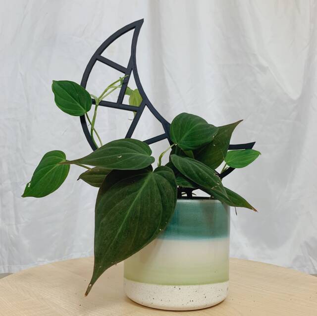 Geometric Crescent Moon 3D Printed Plant Trellis/Indoor Houseplant by ...
