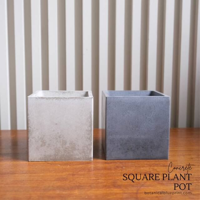 Square Concrete Planter - 10cm- Ideal For Cacti & Succulents Or Small ...