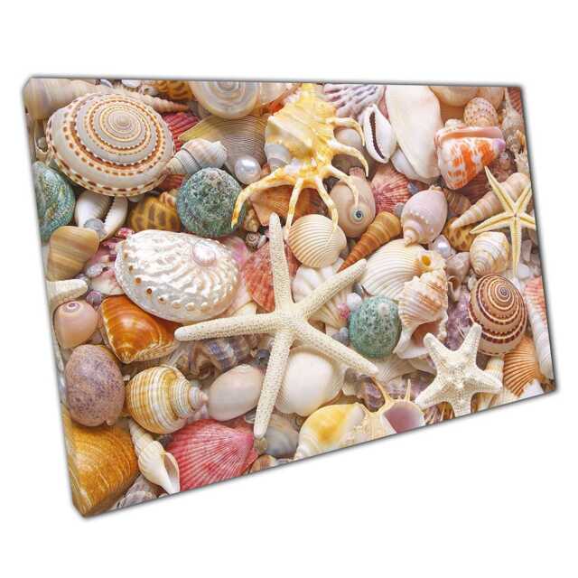 Coastal Canvas Print Ocean-Themed Wall Art With Seashells, Coral, & Starfish For Home Or Office ...
