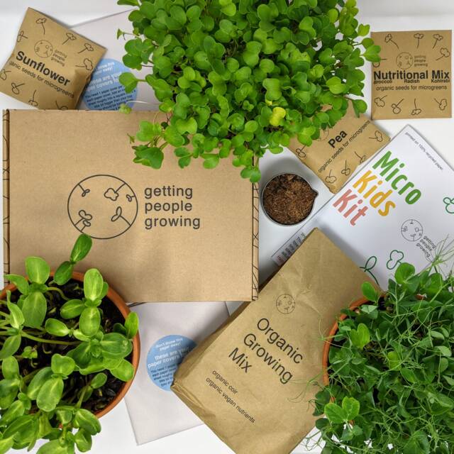 Microkidskit. Organic Microgreen Kit For Kids by Etsy | ufurnish.com