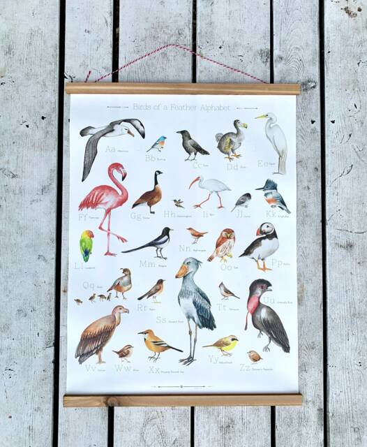 Bird Alphabet Poster by Etsy | ufurnish.com