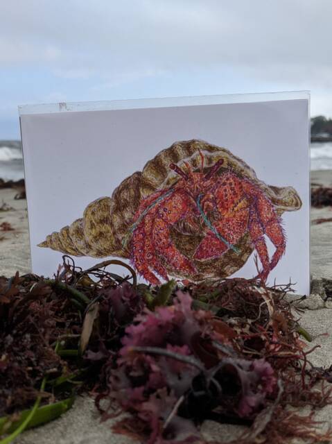 Hermit Crab - Sea Creature Art Print by Etsy | ufurnish.com
