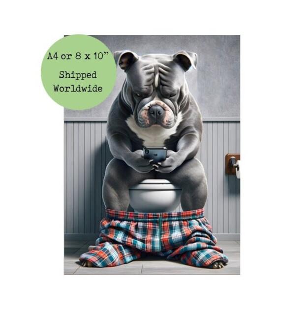xl Bully Sitting On Toilet Mobile Phone Print Funny Dog Loo Animal ...